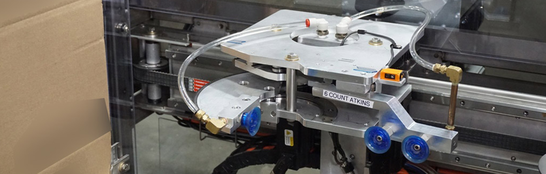 Case Packer Machine for Cartons and Boxes - Tishma Technologies