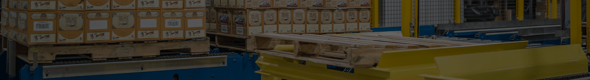 Full Packaging Lines - Tishma Technologies
