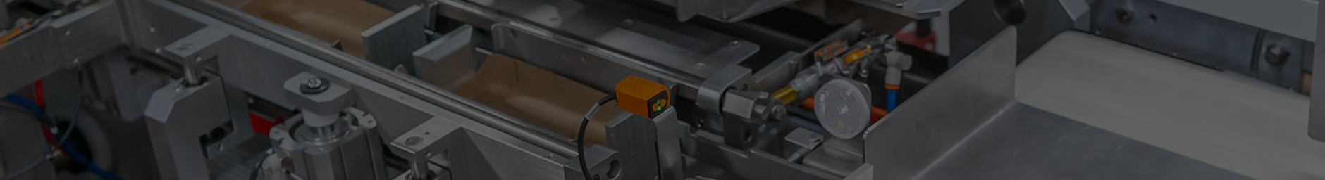 Tray Packers - Tishma Technologies